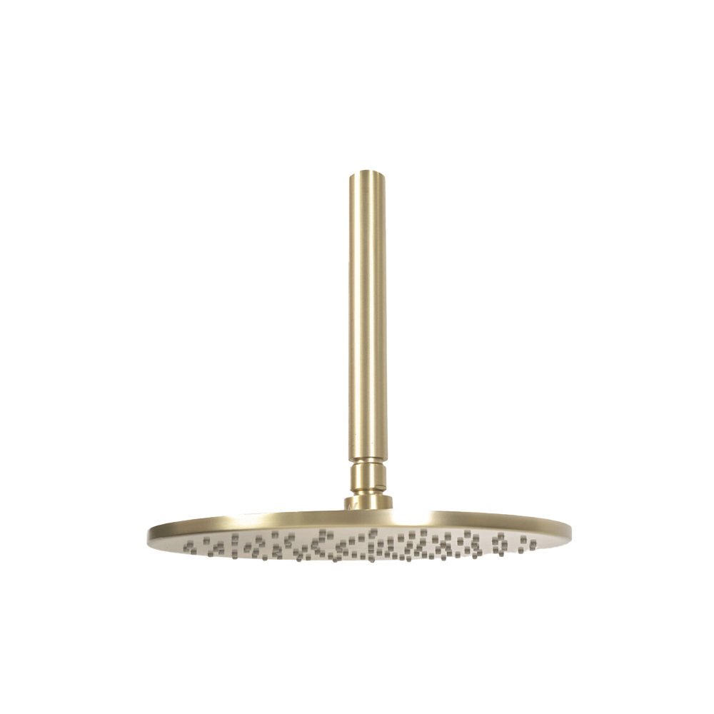 Alma Mira Brushed Brass Gold Ceiling Shower Arm and Head – Alma Sinks
